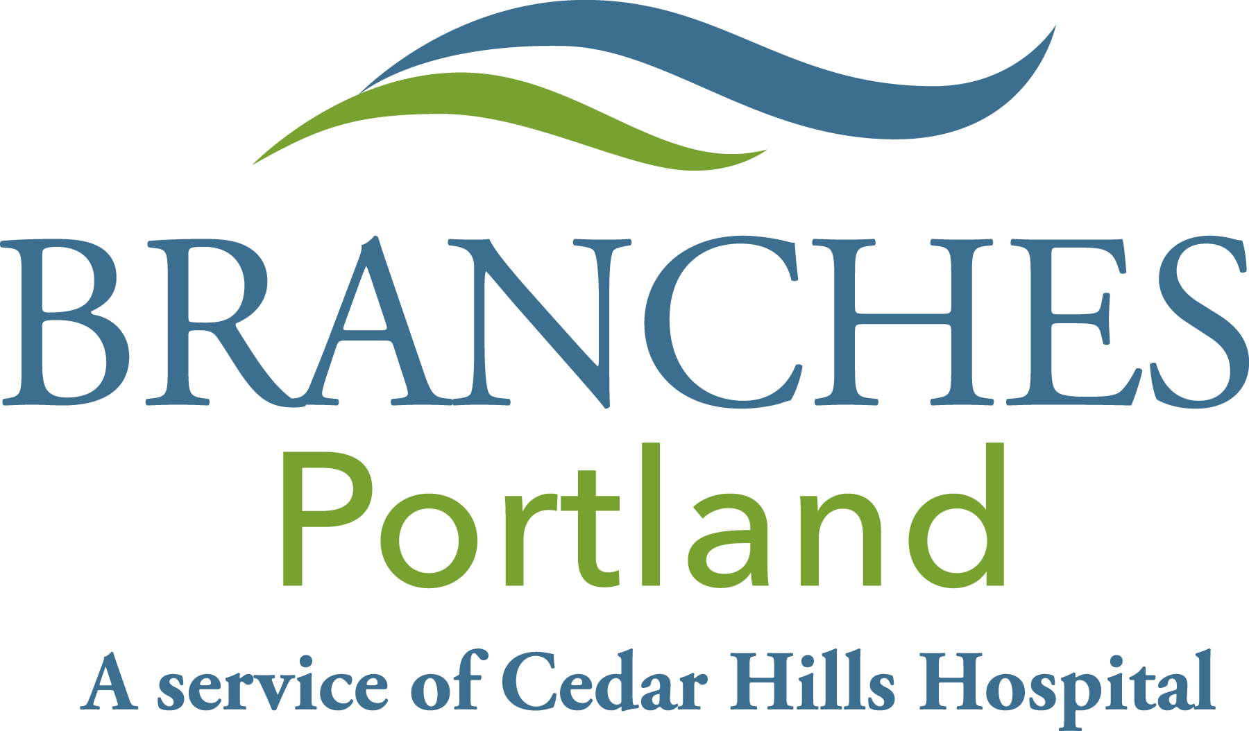 Master Dialectical Behavior Therapy: Key Techniques